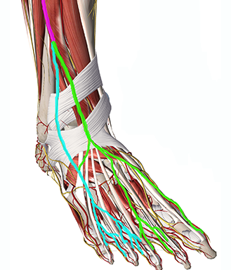 UGRA Archives - Page 7 of 53 - USabcd